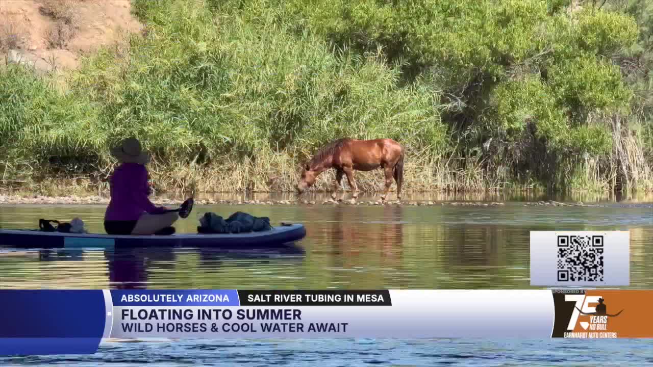 Float past wild horses on Arizona’s Salt River this summer