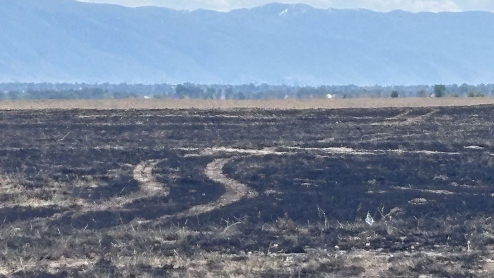 Remote-controlled aircraft in question after model jet causes 'freak ...