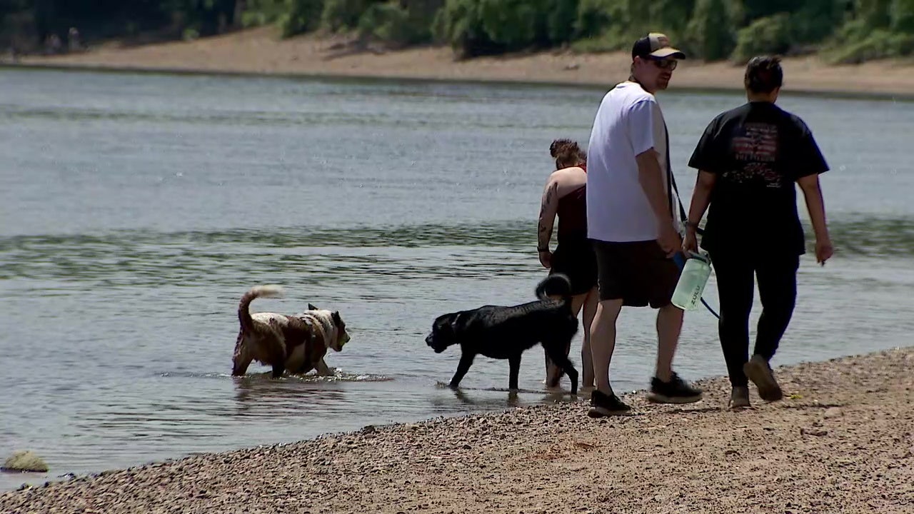 Minneapolis parks board weighs closing Minnehaha dog park over Native ...