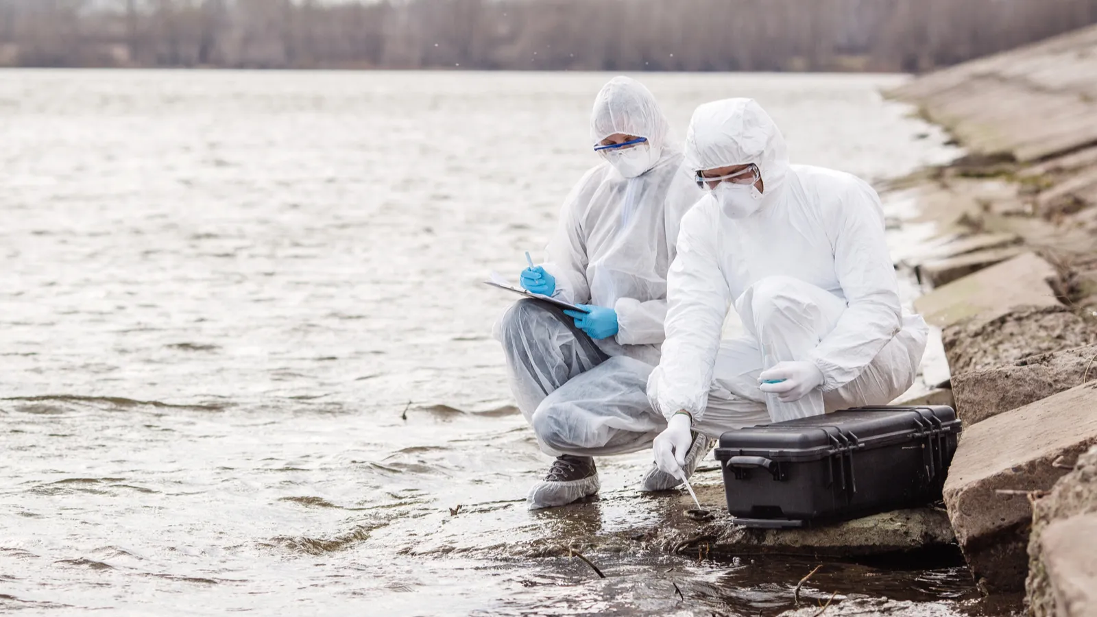 Scientists are studying how unusual ocean temperatures may affect ...