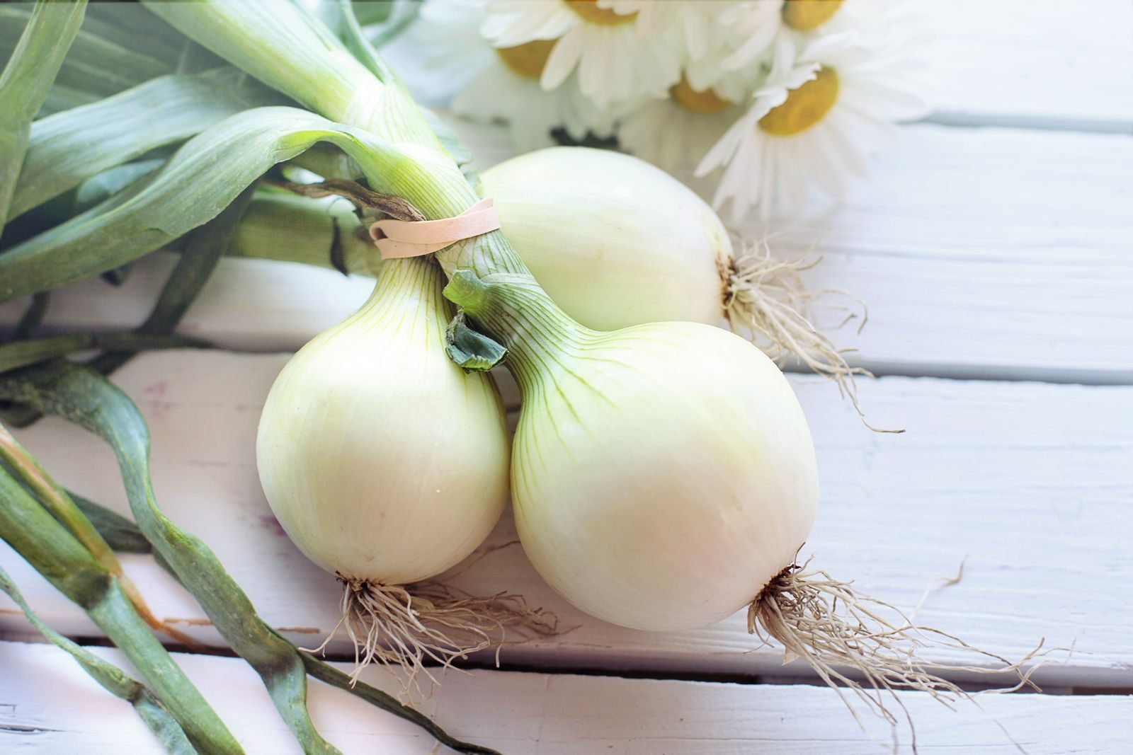 9 companion planting hacks that can help your onions thrive