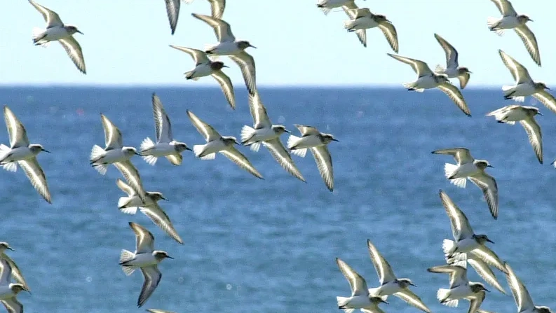 Exploring Maine's coastal parks and historic lighthouses