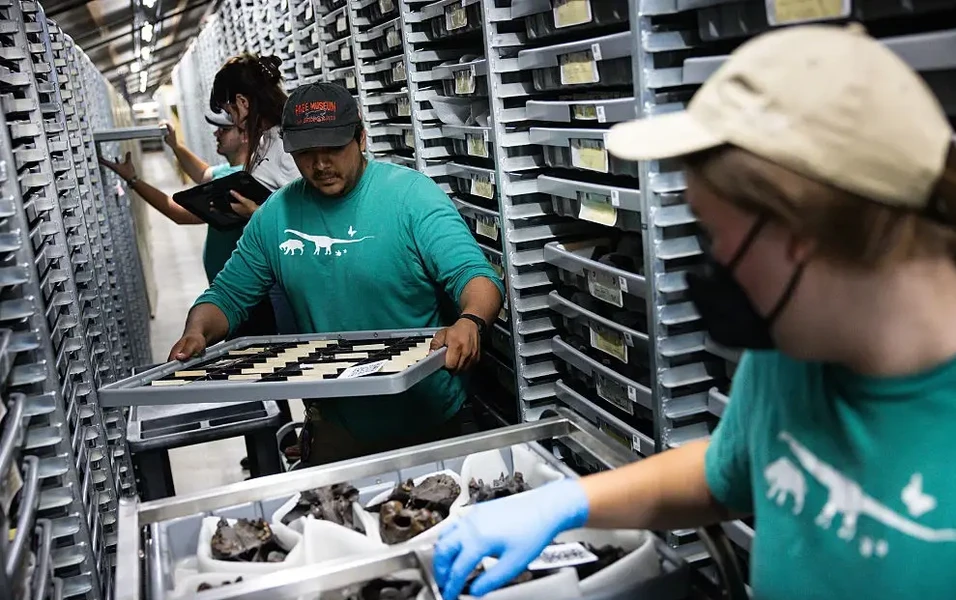 Four major fossil discoveries reshape view of ancient life