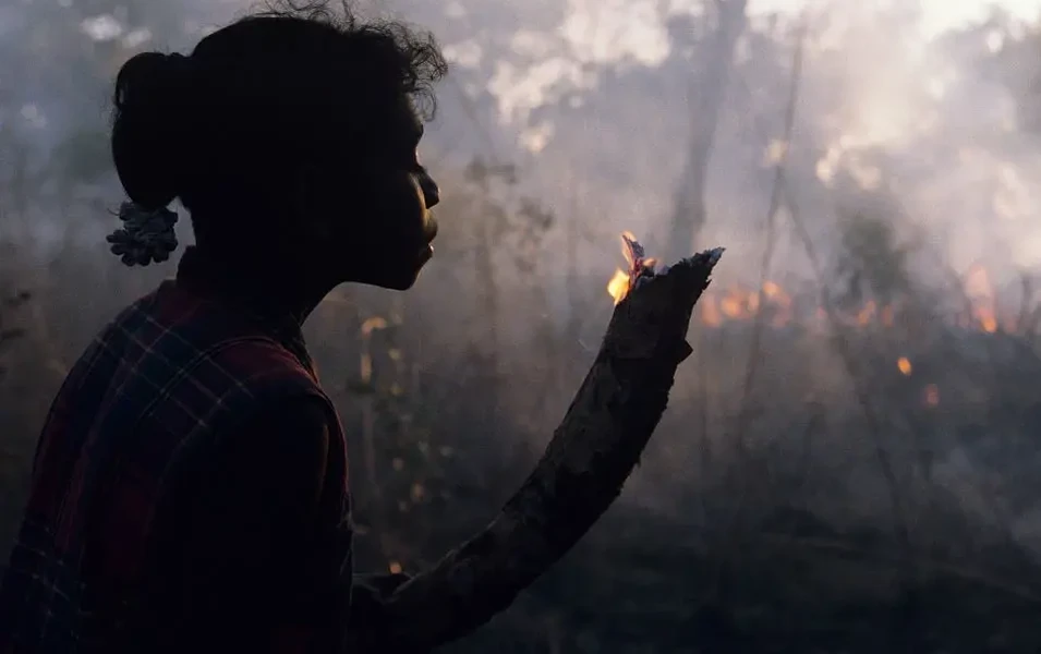 NSW unveils strategy to expand Aboriginal-led cultural burning