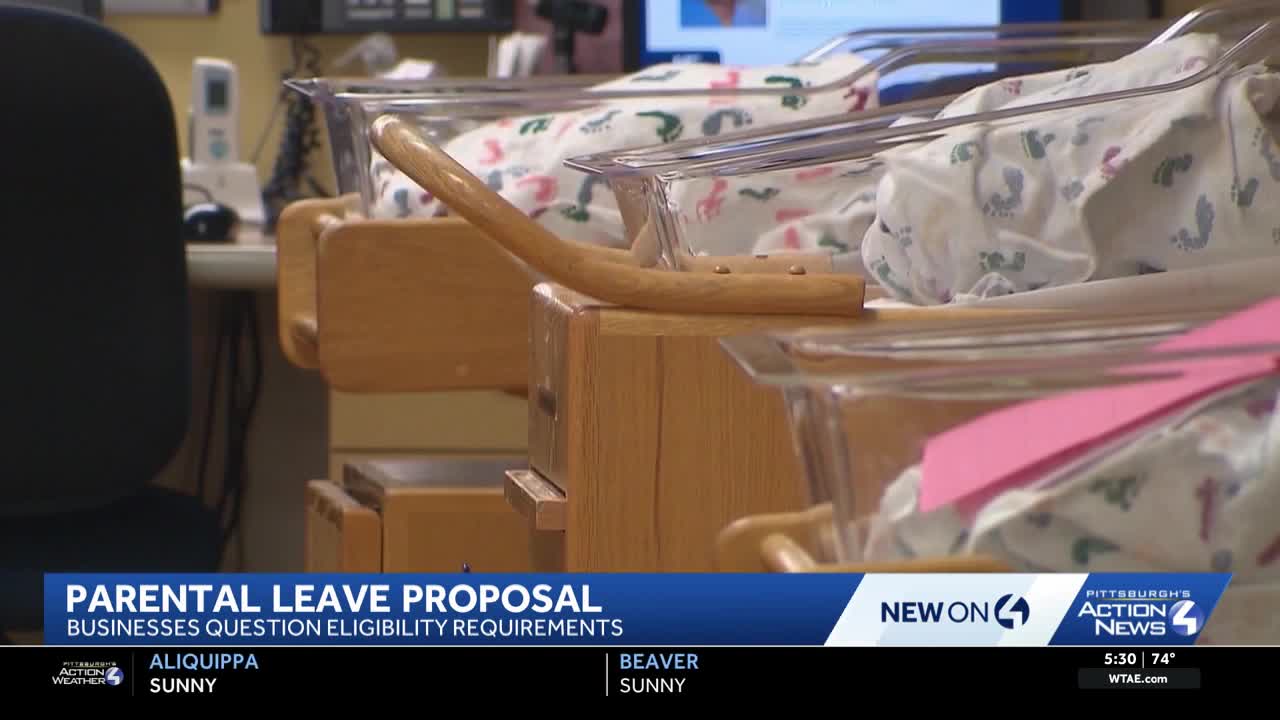 Allegheny County Board of Health hears from public on proposed 18-weeks ...