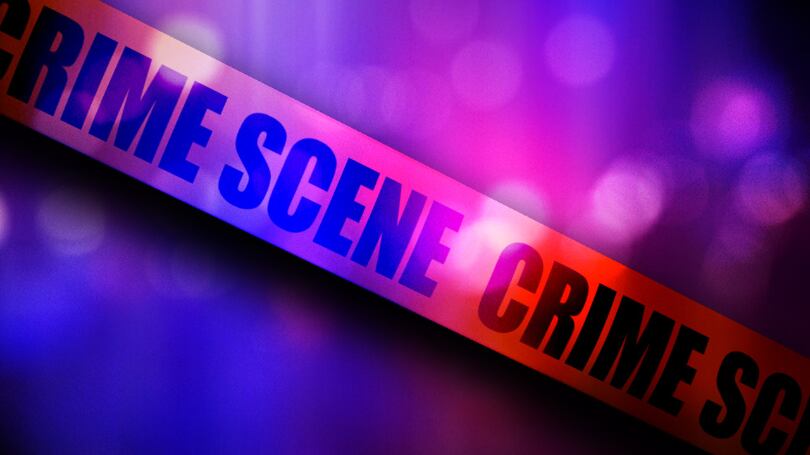 Task force executes 21 search warrants targeting organized crime and ...