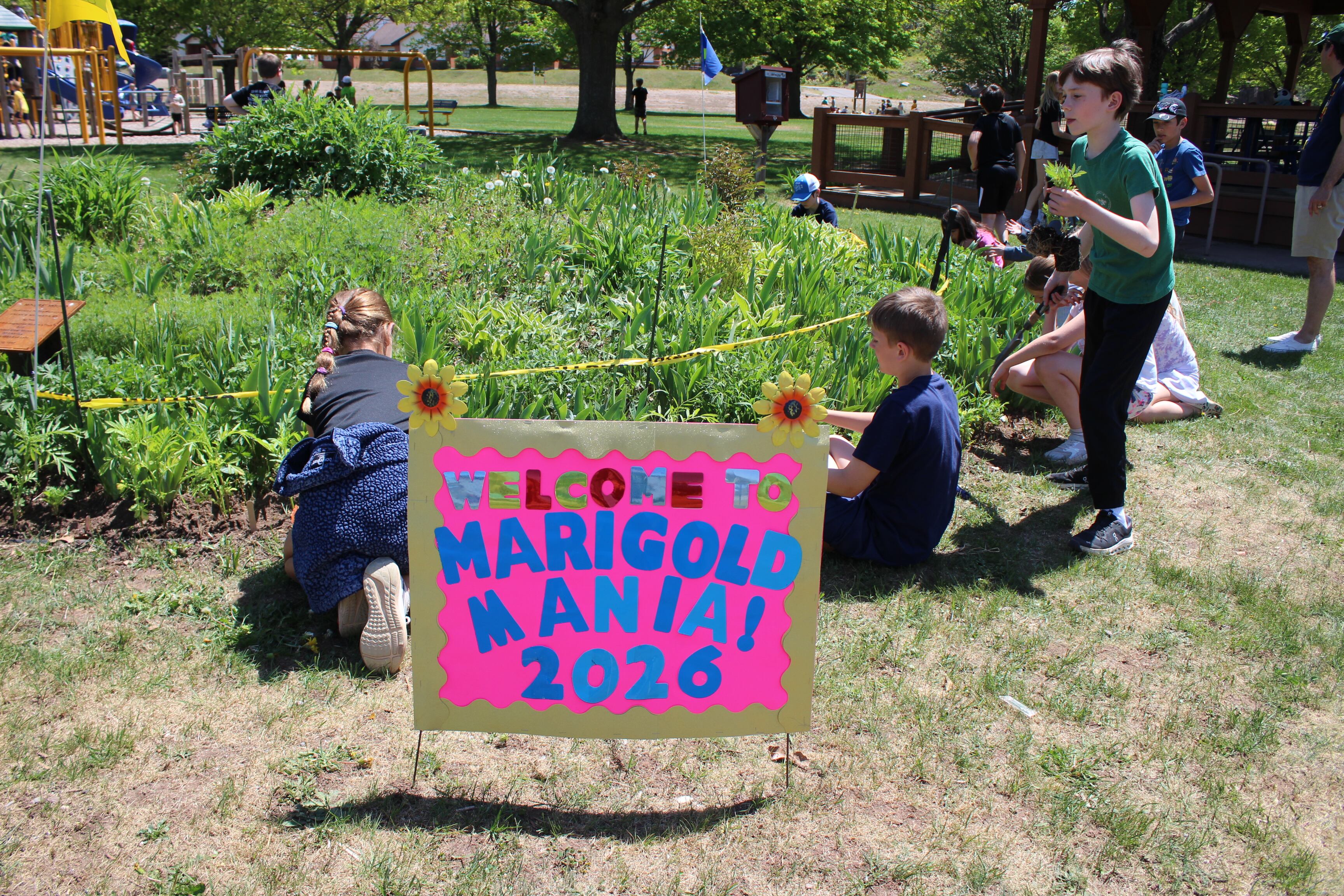 Negaunee students beautify park for Marigold Mania