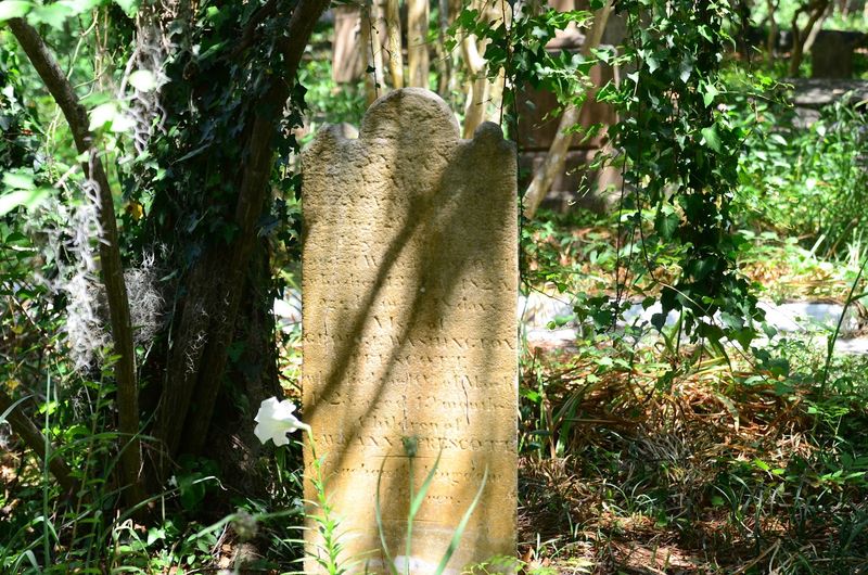 This haunted South Carolina churchyard is a place you should never ...