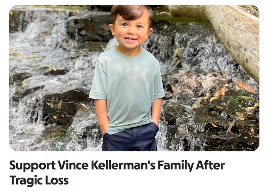 Boy killed by falling tree in Northland had 'character beyond his years ...
