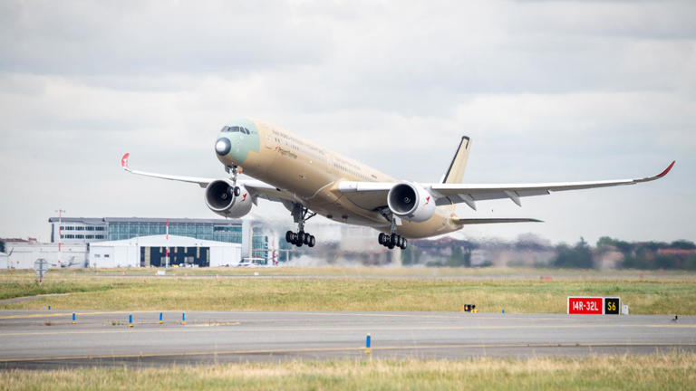 Huge milestone in world’s longest flight