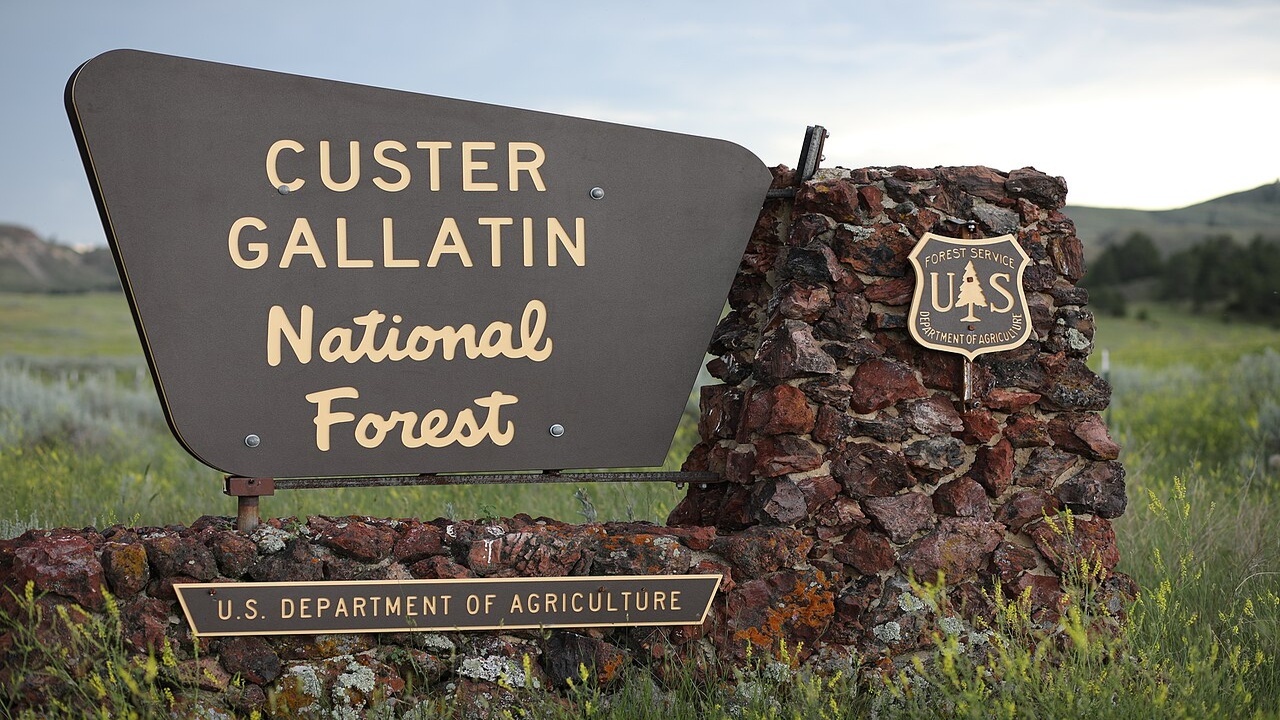 Montana’s Custer Gallatin forest has ancient insects locked in glacier ...