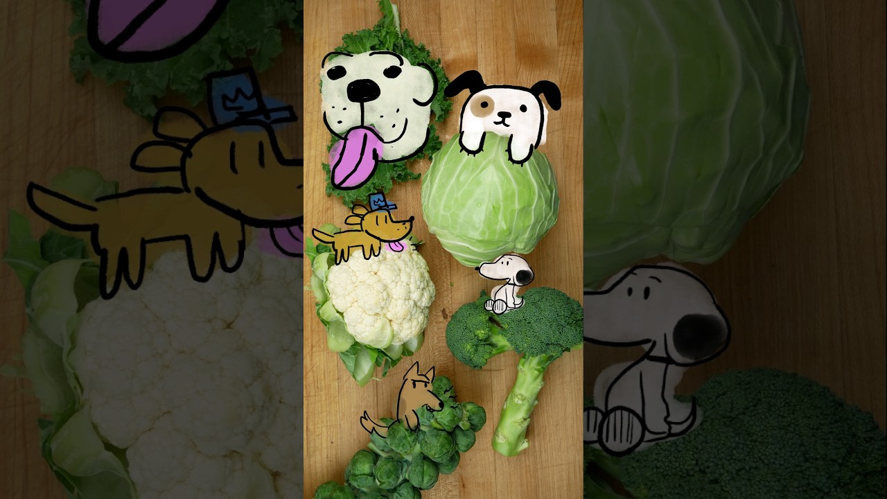 Why broccoli is like a dog