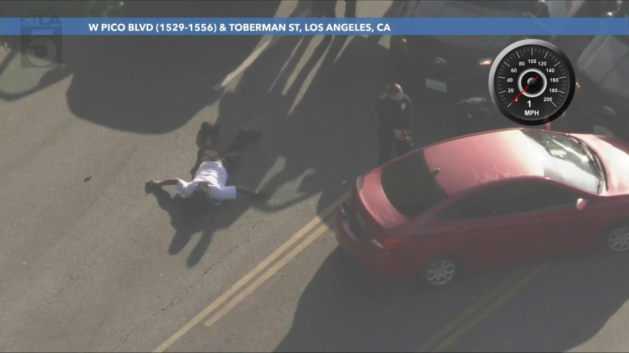 Suspected car thief in custody after LA police chase