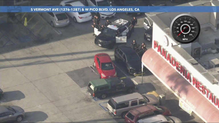 Suspected car thief in custody after LA police chase