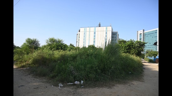 GMRL seeks nod to fell 576 trees for Gurugram Metro depot in Sector 33
