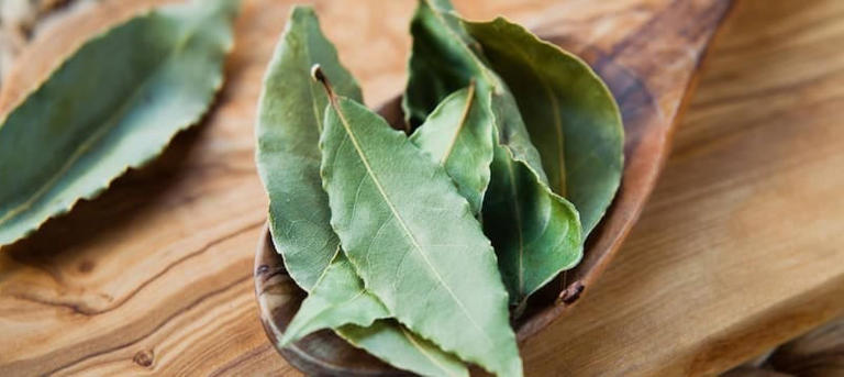 Mezclar hojas de laurel con bicarbonato: para qué sirve y por qué miles ...