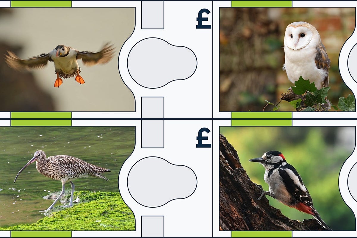 Bank of England reveals which animals could feature on its new-look ...