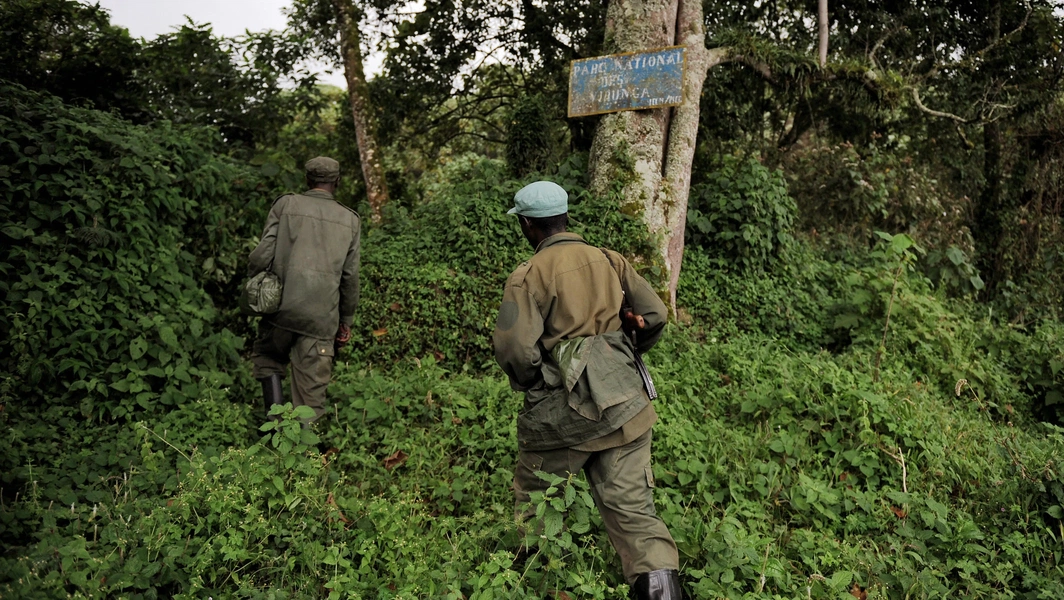 Rwanda deploys eDNA to track endangered primates in remote terrain