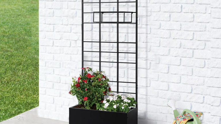 Walmart’s 'sturdy' and 'compact' $68 trellis set is 'perfect for a ...