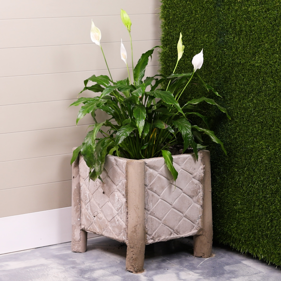 Beau pot de fleurs en ciment DIY pour votre jardin! 🌸🪴