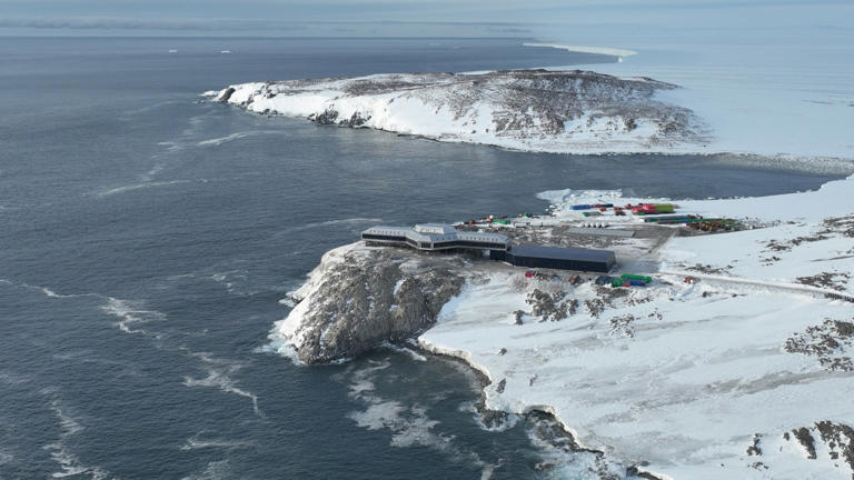 Japanese MP’s claim China eyes Antarctic 'treasure trove' dismissed