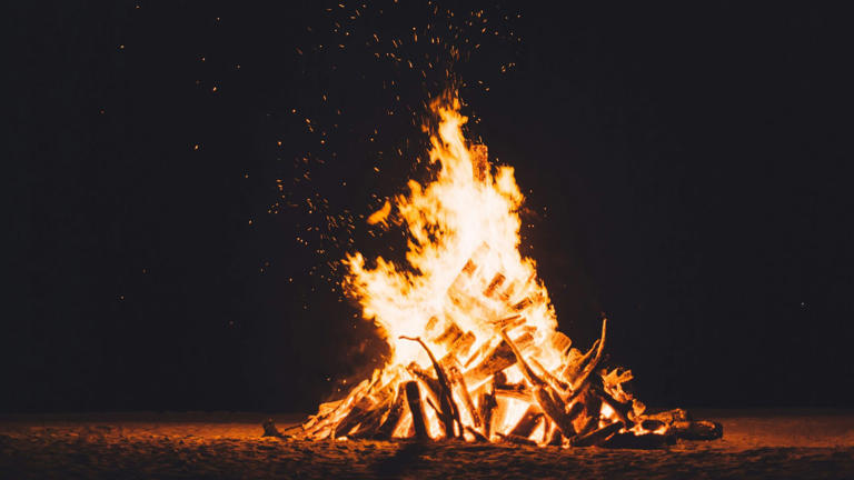 How ancient humans learned to cook