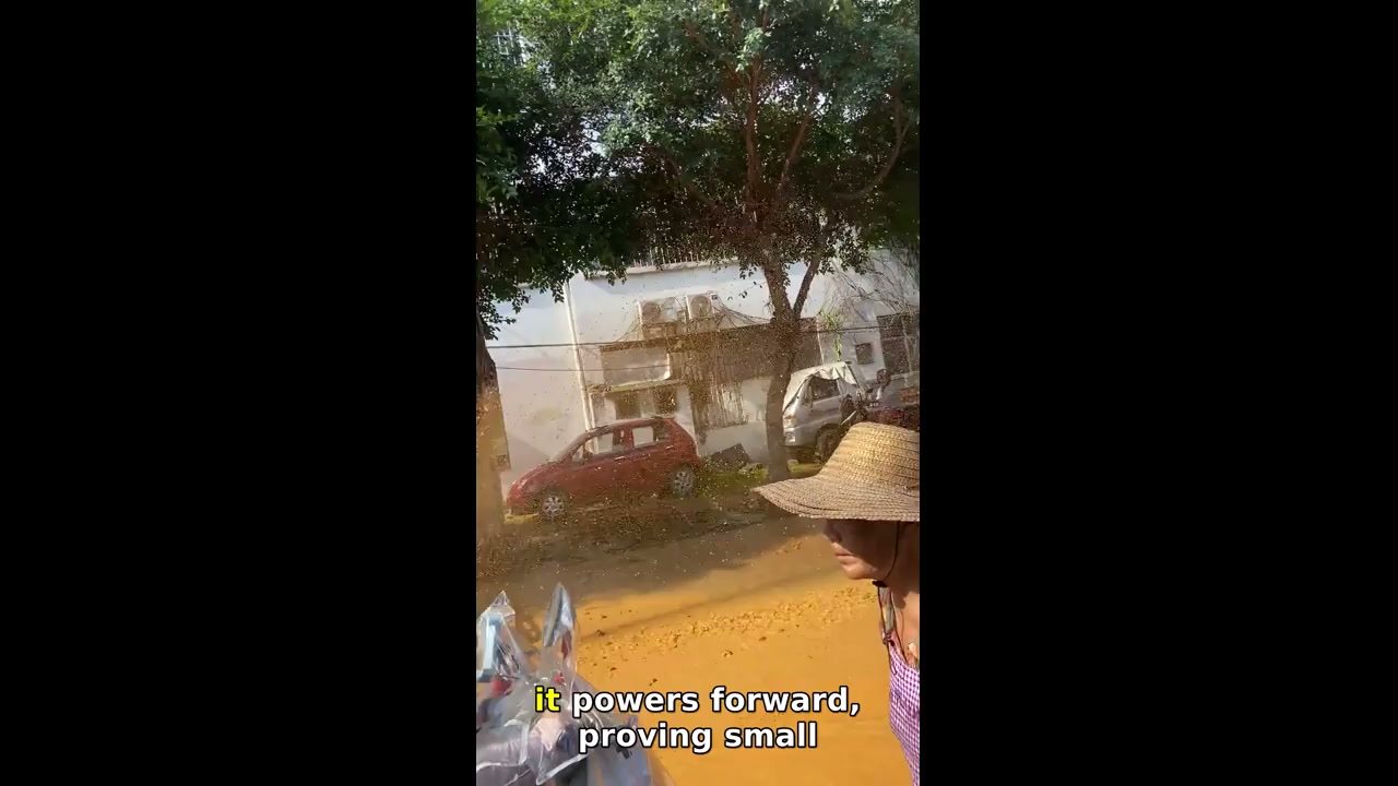 Mini EV powers through muddy flood after burst pipe in China