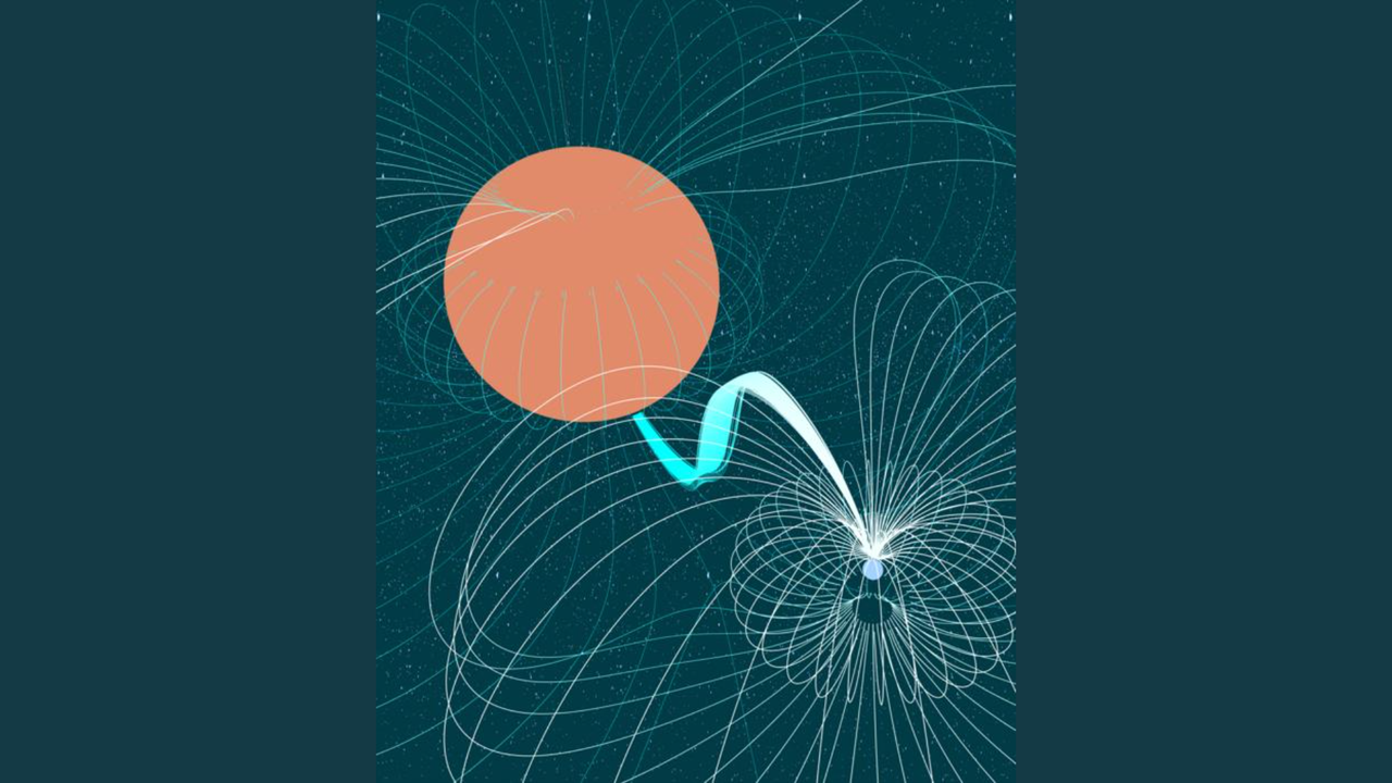 Scientists locate source of mysterious radio signals after 20-year search