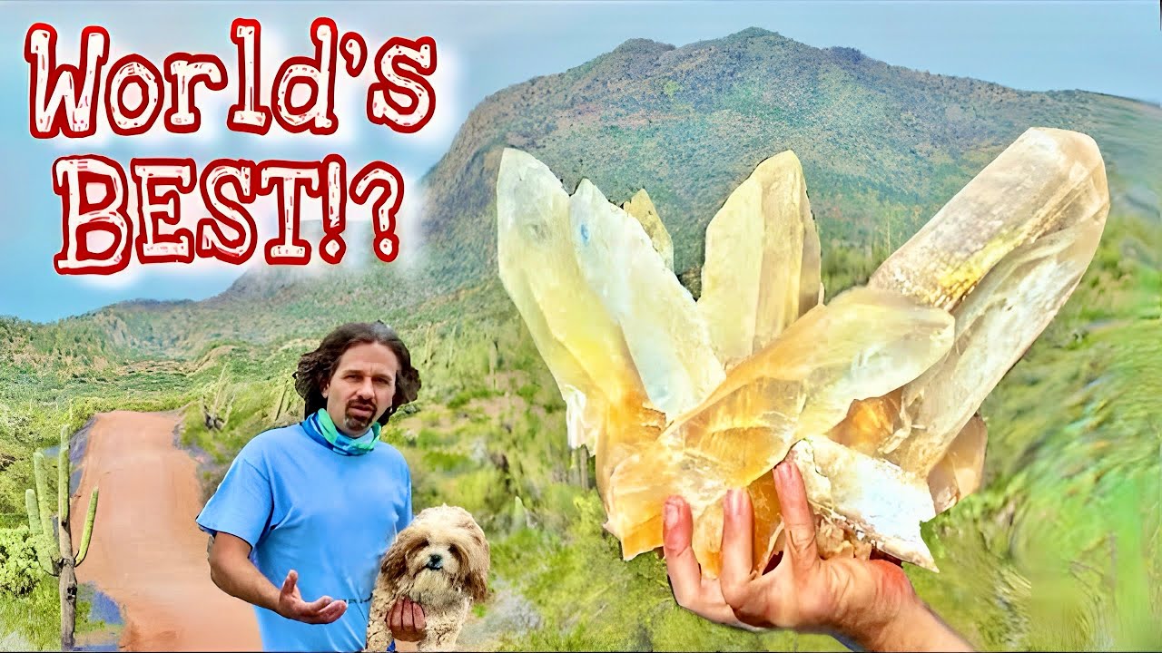 Digging huge golden selenite crystals to the max!