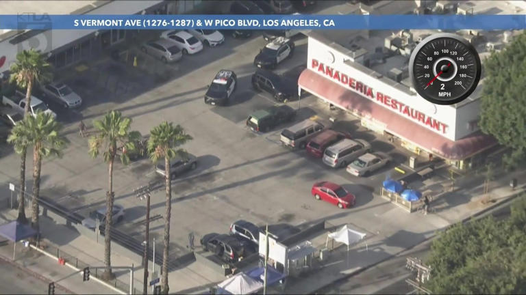 Suspected car thief in custody after LA police chase