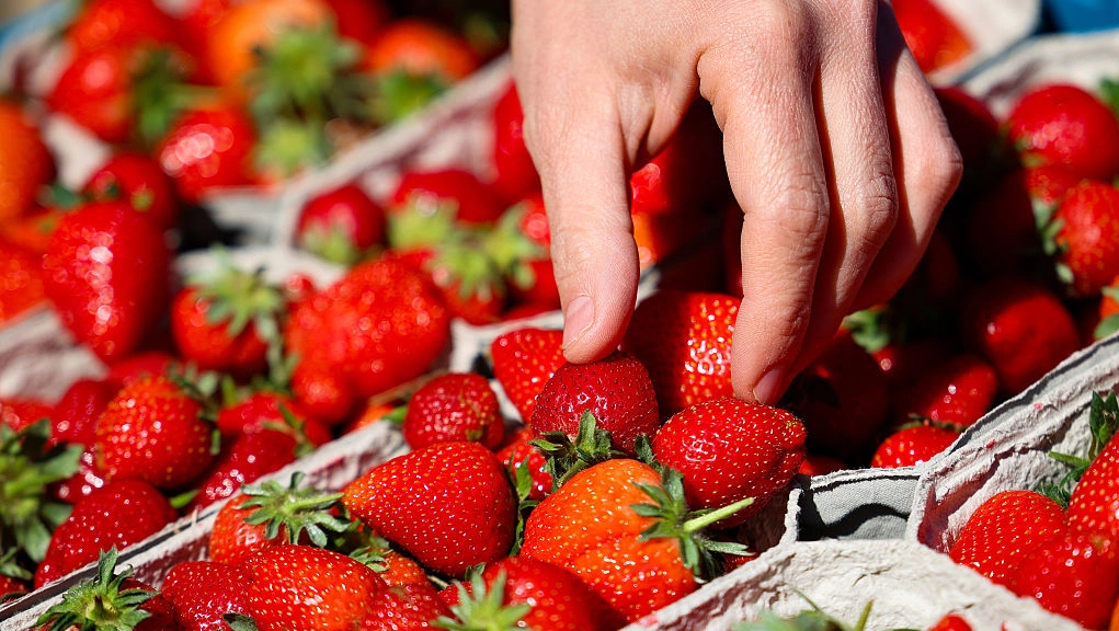 Experts warn modern farming is stripping flavor from produce
