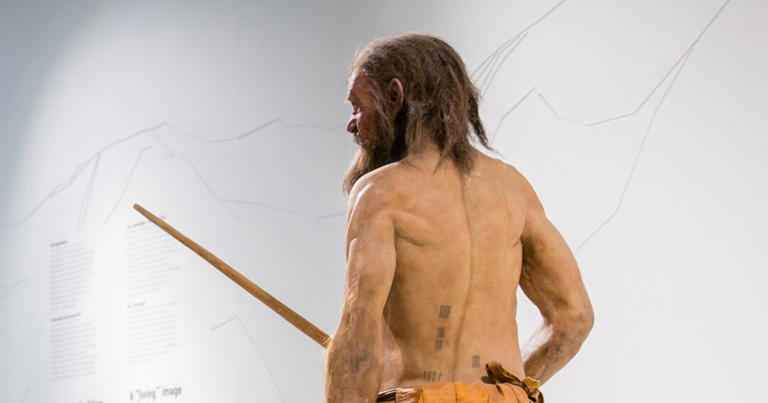 Scientists find yeast in ancient Iceman's guts—and make bread