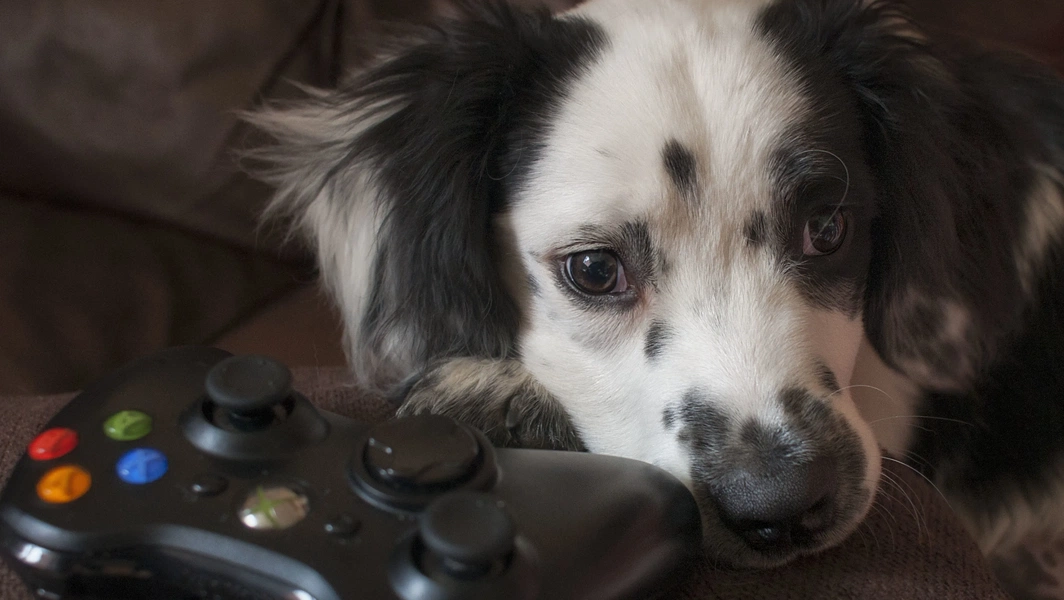 5 memorable animal companions in video games