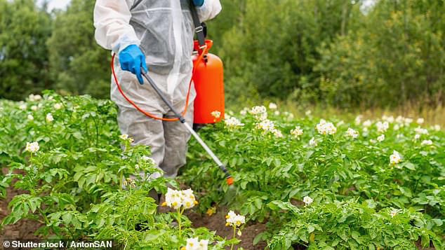 Outrage over weed killer used in Australia but banned in 70 countries ...