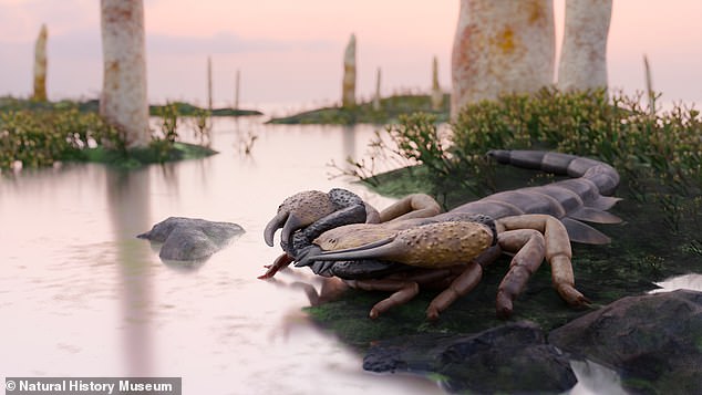 Giant scorpions the size of labradors roamed Britain 415 million years ...