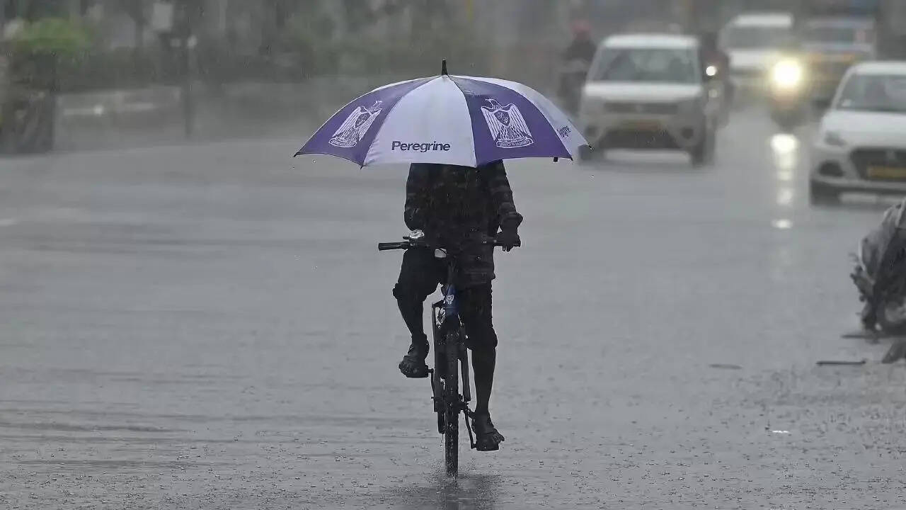 Monsoon in Tamil Nadu: IMD warns of heavy rain in 22 districts; Chennai ...