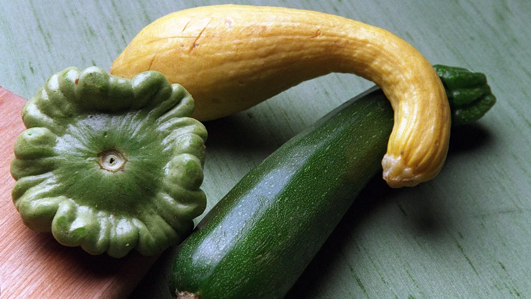 Baking magic with summer squash cakes