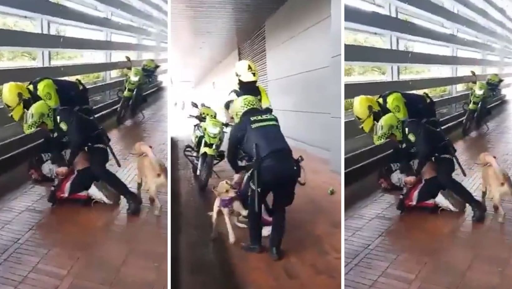 Polémica por procedimiento policial a músico ambulante en Colina ...