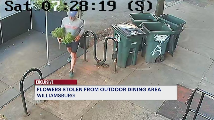 Flower thief steals plants from Williamsburg wine bar's outdoor seating ...