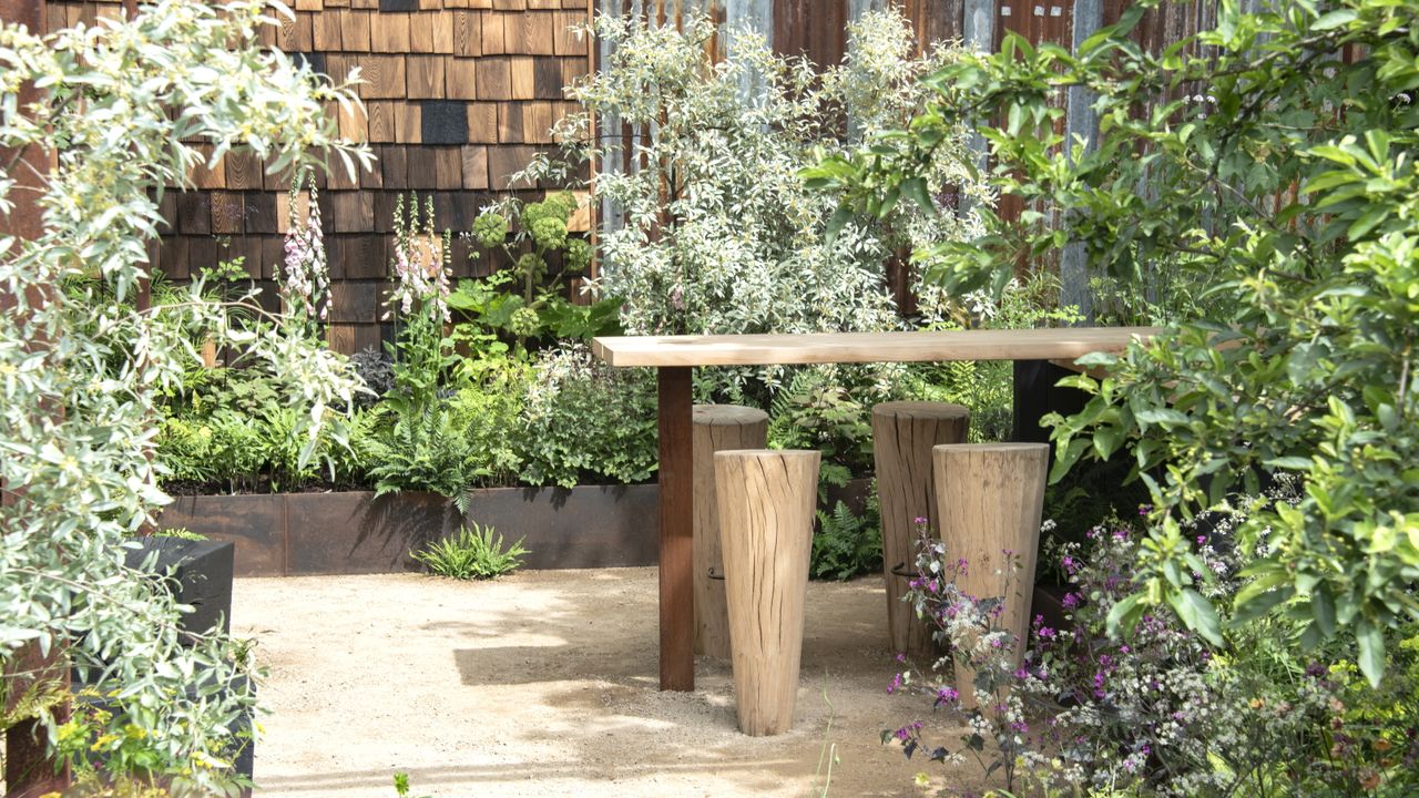 Making an assumption about watering is the 1 gardening mistake to avoid ...