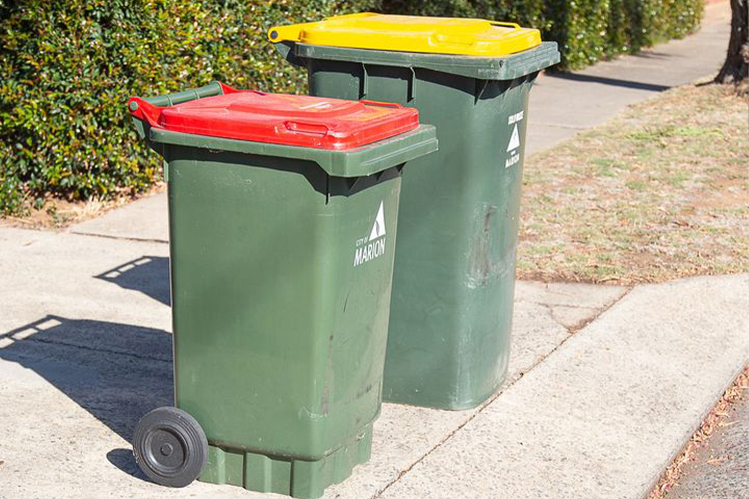 Aussie council sets record straight on 'frustrating' bin issue after ...