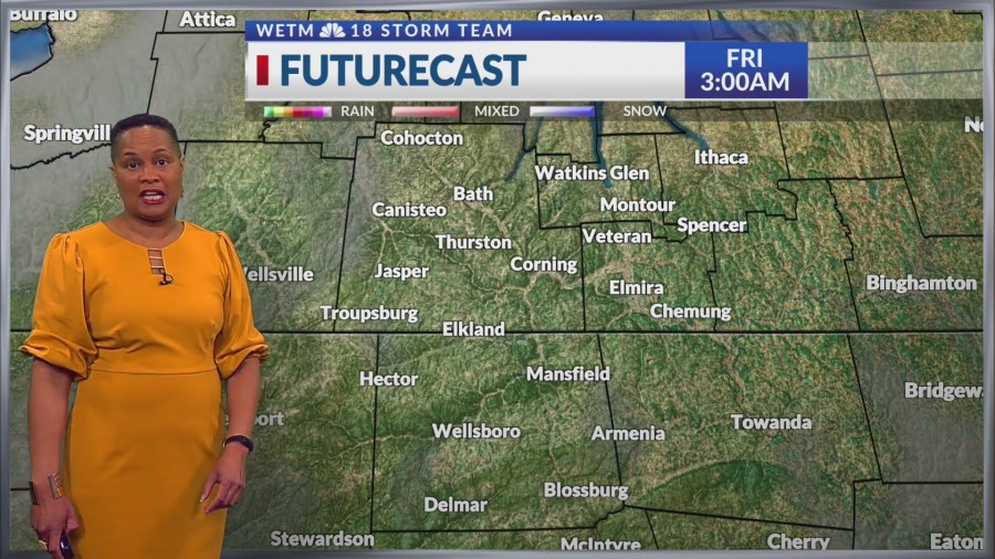 Sunny Twin Tiers June day two: Electric Boogaloo