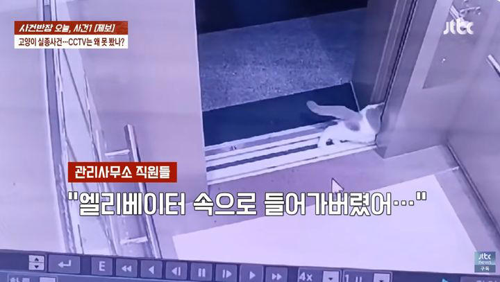 '감쪽같이 사라진' 고양이…CCTV 보니 엘리베이터 틈으로 '쏙'