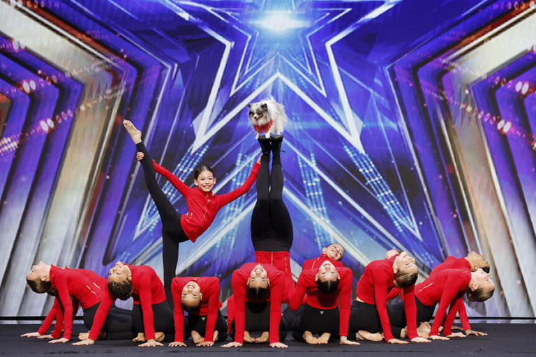 How this surprise dancing dog act got a golden buzzer: "It was too much ...