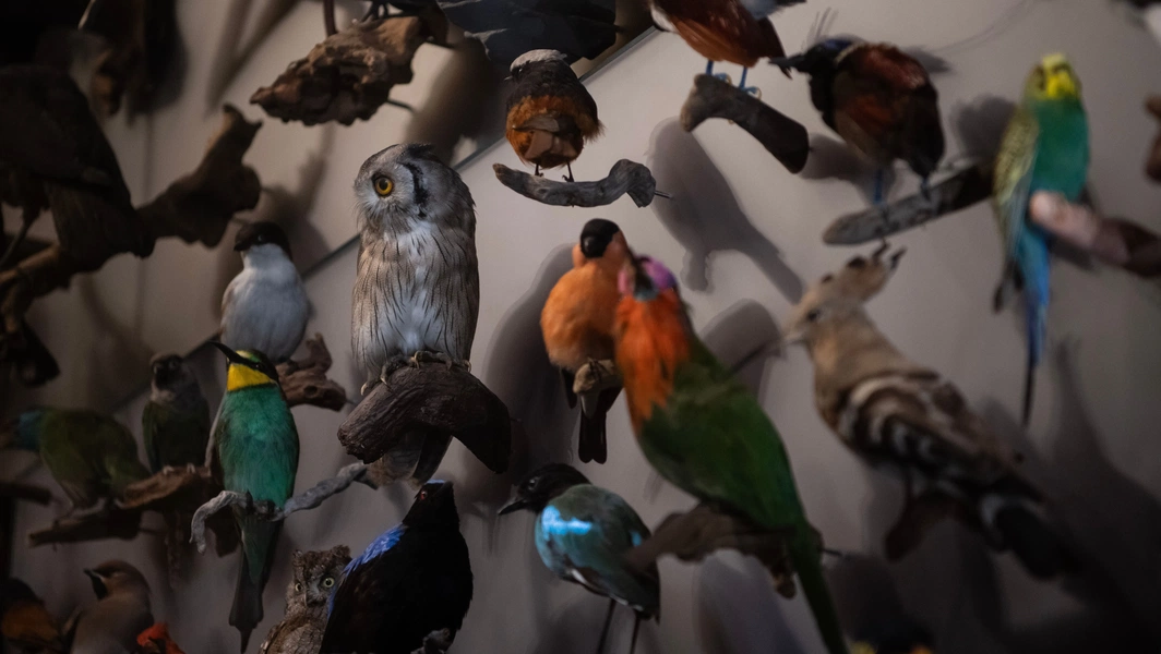 22 unusual museums from around the world