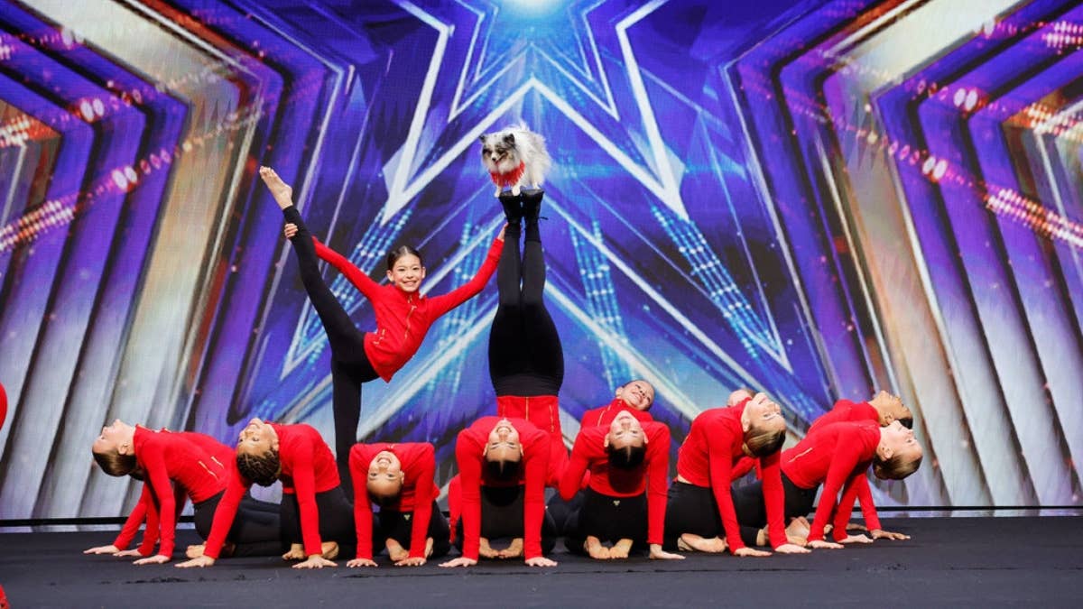 Meet Acro Crew: The dance troupe that surprised AGT judges with a ...