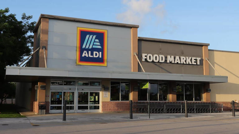 Aldi's $7 handy pet essential solves a problem every dog parent knows