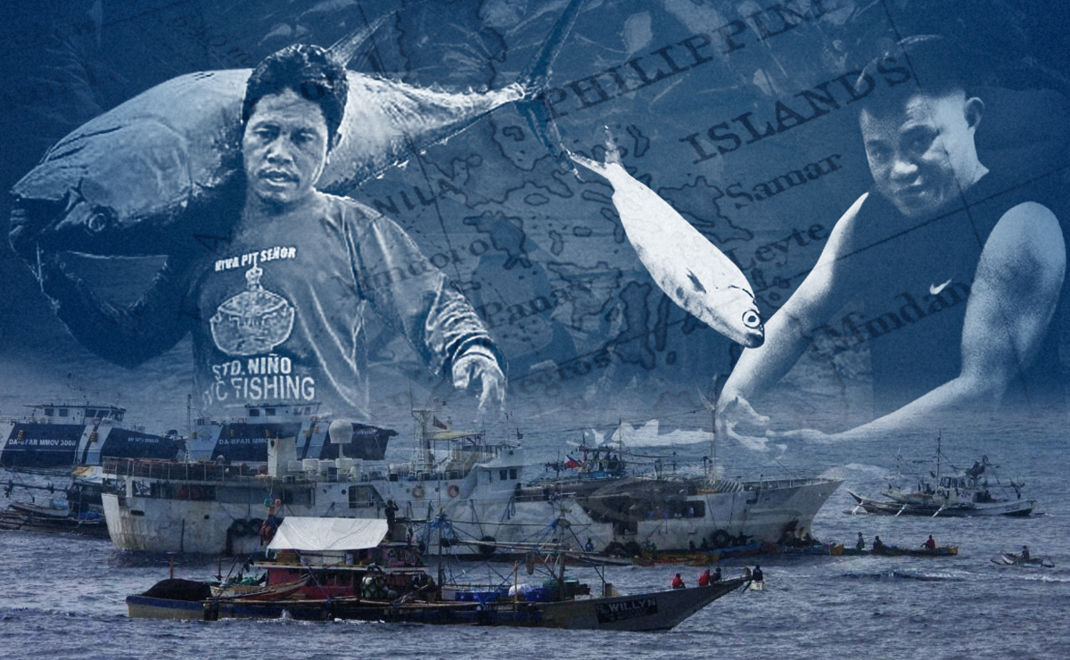 BFAR faces scrutiny amid record fishing intrusions