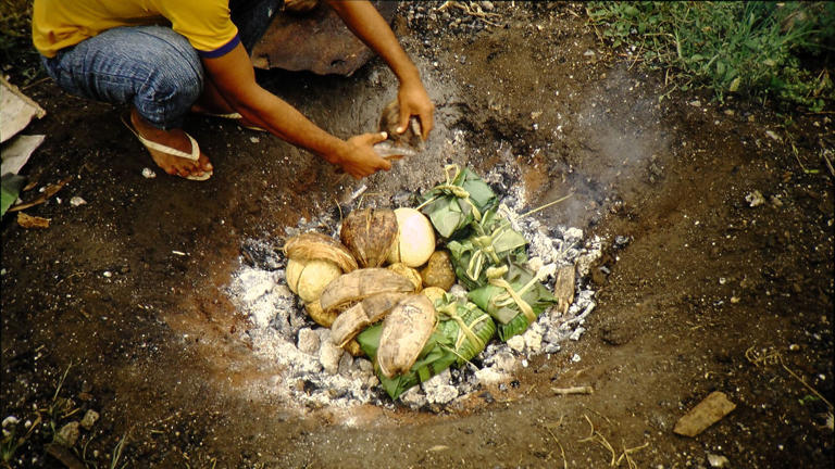 How ancient humans learned to cook