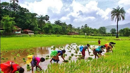 Maharashtra approves farm loan waivers of up to ₹2 lakh; 5.6 million to ...